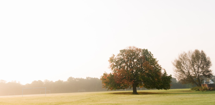 Extreme Minimalism: How a Family of 7 Learned to Love It - This Simple ...