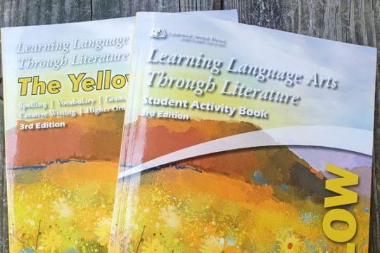 5 Popular Homeschool Reading Curriculums Explained (& how to choose ...