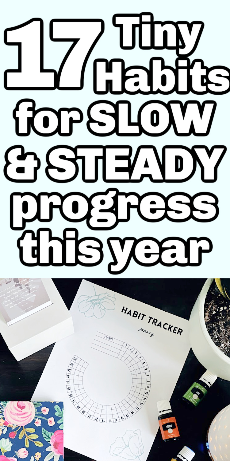 17 Tiny Habits for Slow and Steady Wins This Year - This Simple Balance
