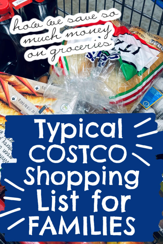 A Typical Costco Shopping List for Families (to Save on Groceries ...